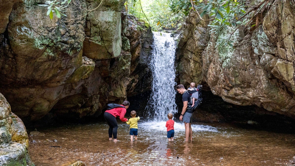 Best of Carter County in Tennessee's Smoky Mountains